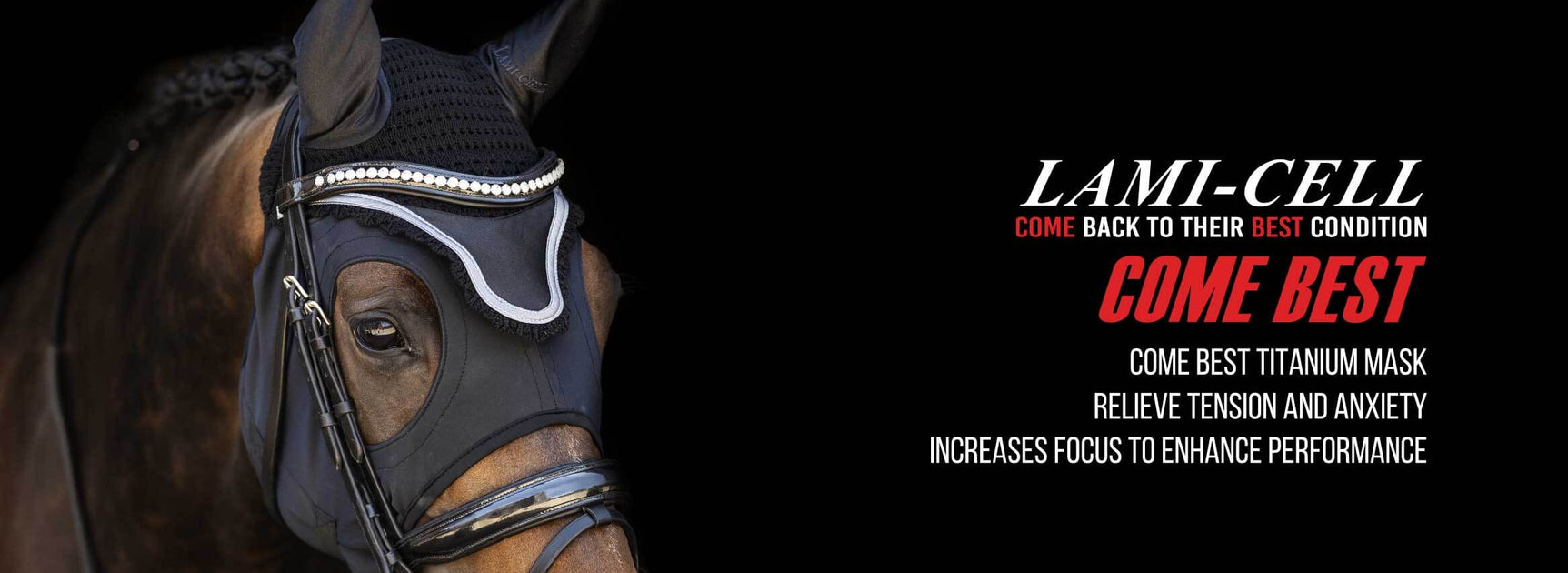 LAMI-CELL - Protections du Cheval et Equipement du Cavalier — Fouilhoux